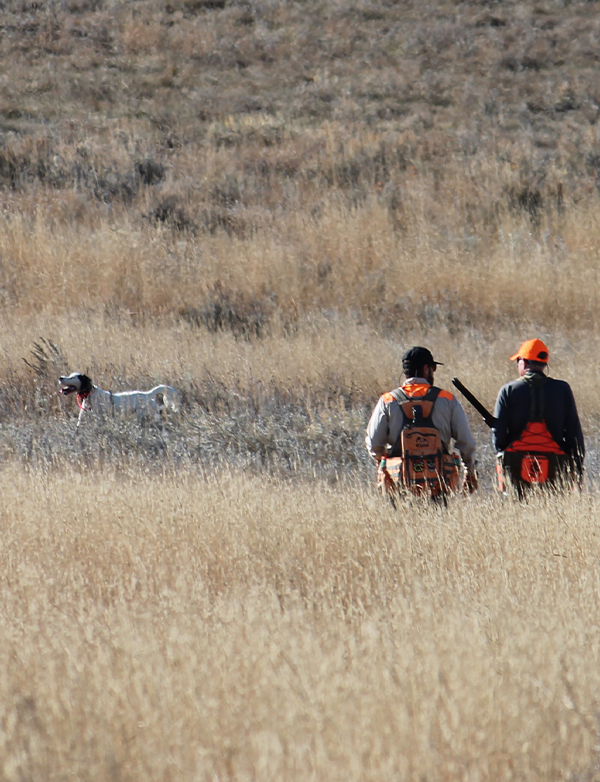 Activities - Madison Ranch